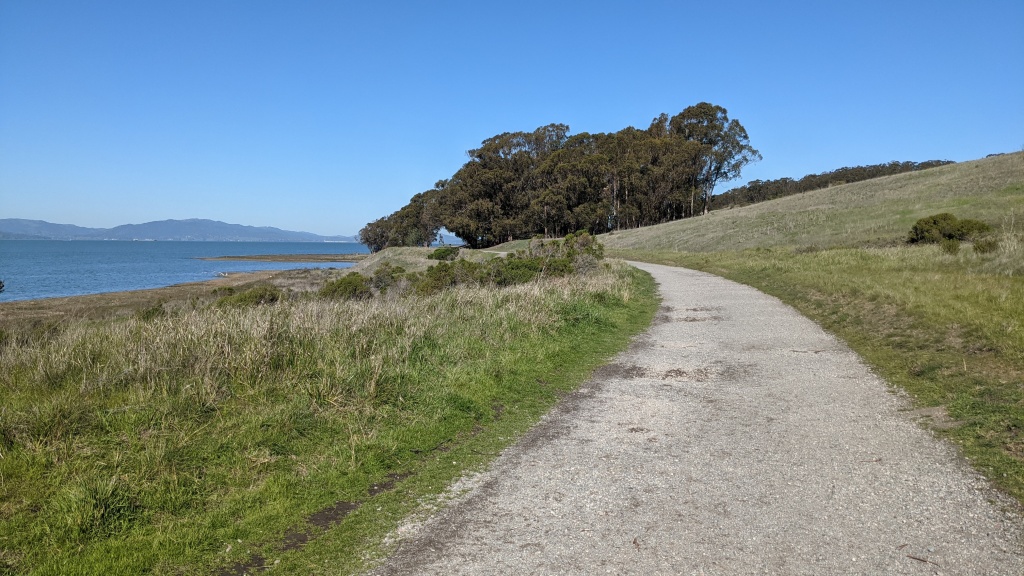 Running along the bay