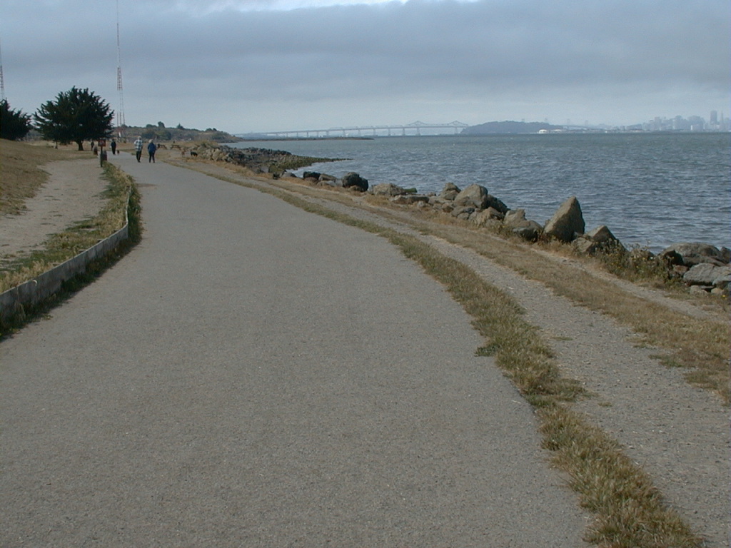 Along the edge of the bay