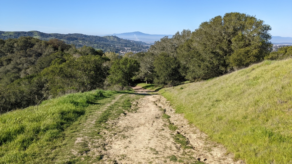 Descending to manzanita grove
