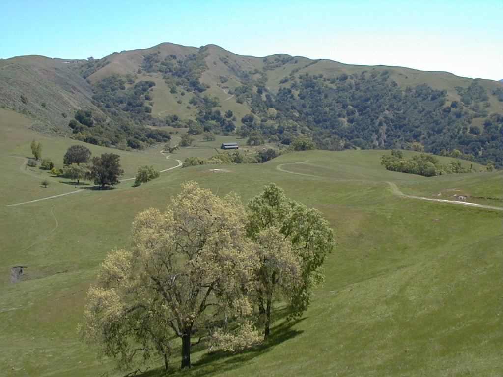 View back down to High Valley Camp