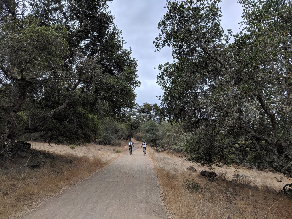 Cyclists on the trail