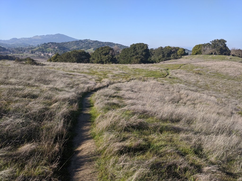 View to Mount Burdell