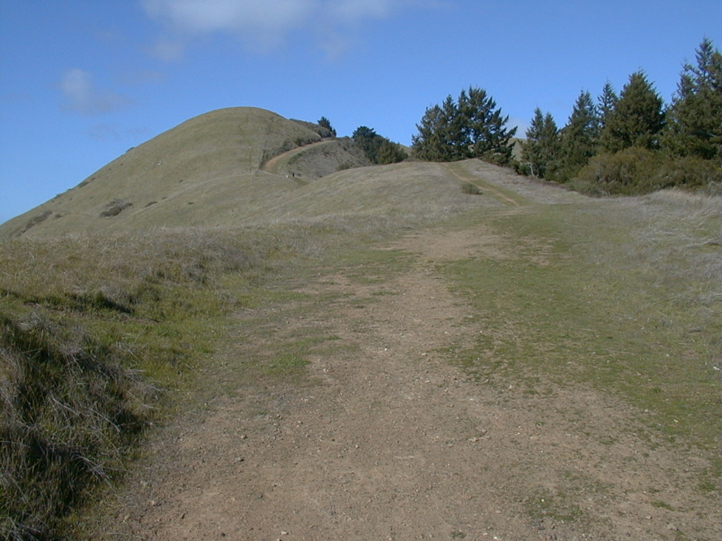Ridgeline