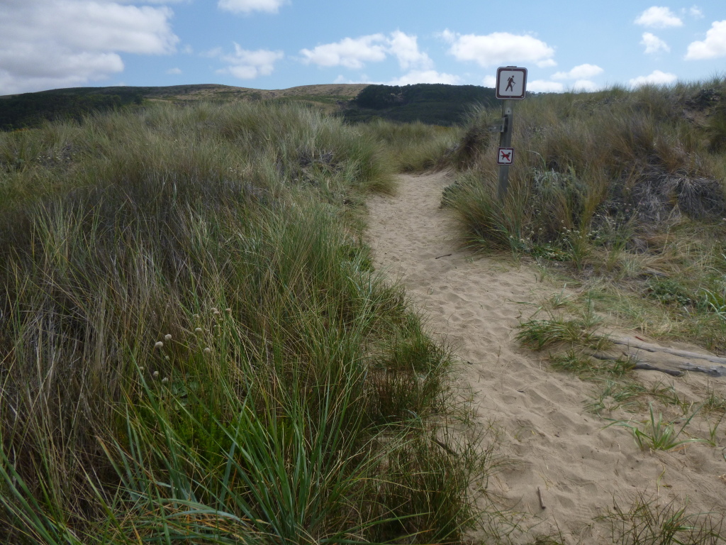 Sandy path