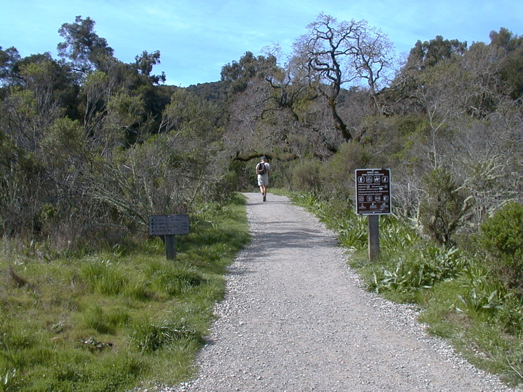 Hiker departing from trailhead