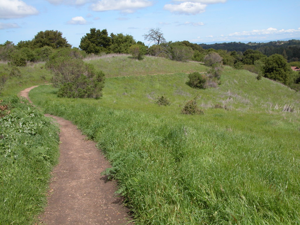 Path sweeping across the hillside